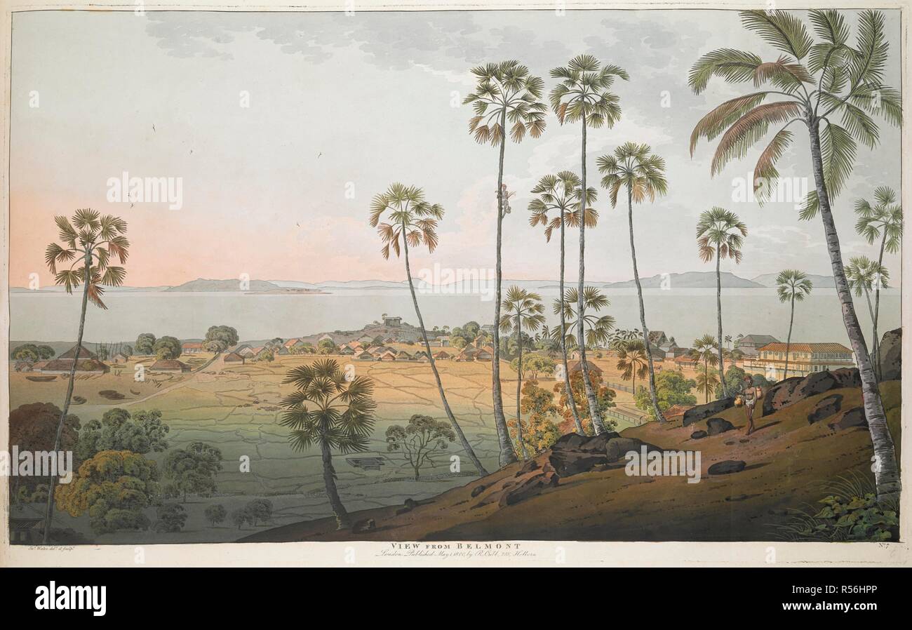 Cribb island hi-res stock photography and images - Alamy