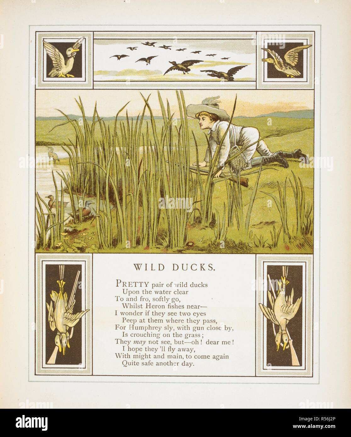 Wild duck shooting 19th century hi-res stock photography and images - Alamy