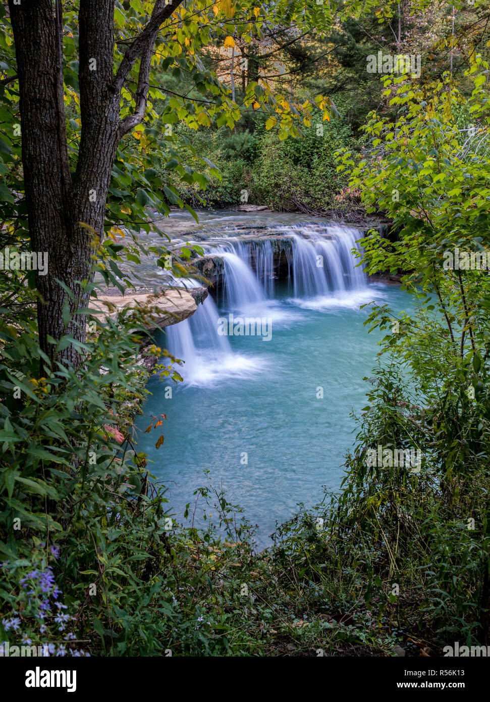 Albert Falls on the North Fork of the Blackwater River in West Virginia ...