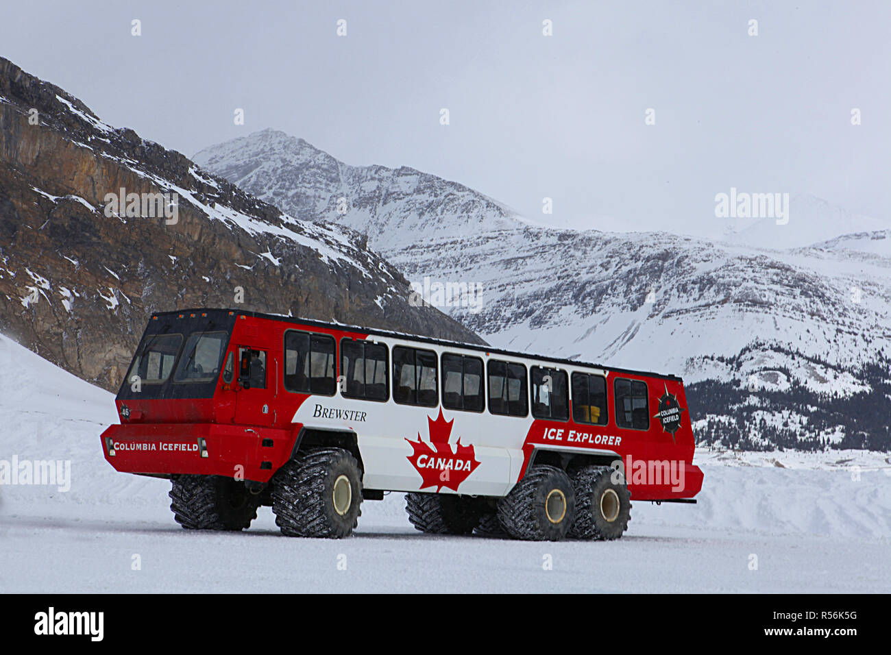 Tour Alberta, Canada, Jasper National Park and the Columbia Icefields ...