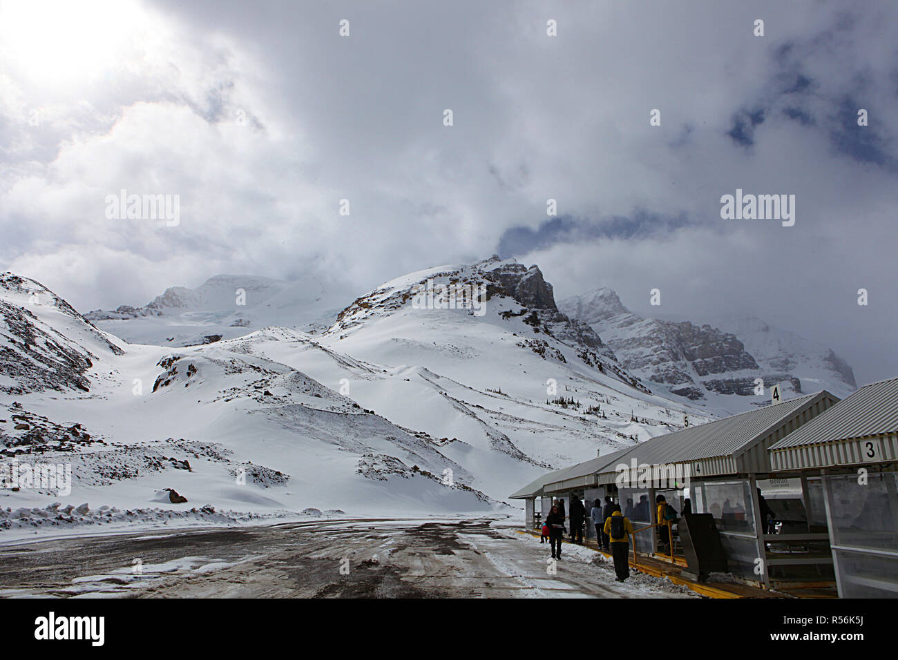 Tour Alberta, Canada, Jasper National Park and the Columbia Icefields ...