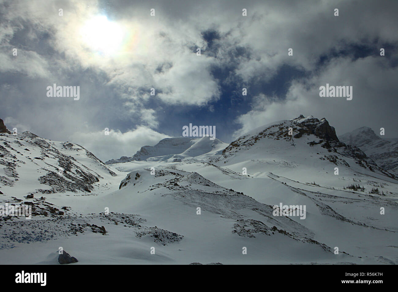 Tour Alberta, Canada, Jasper National Park and the Columbia Icefields ...