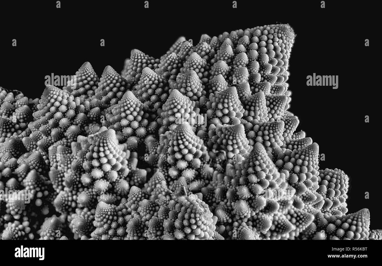 Fractal patterns hi-res stock photography and images - Alamy