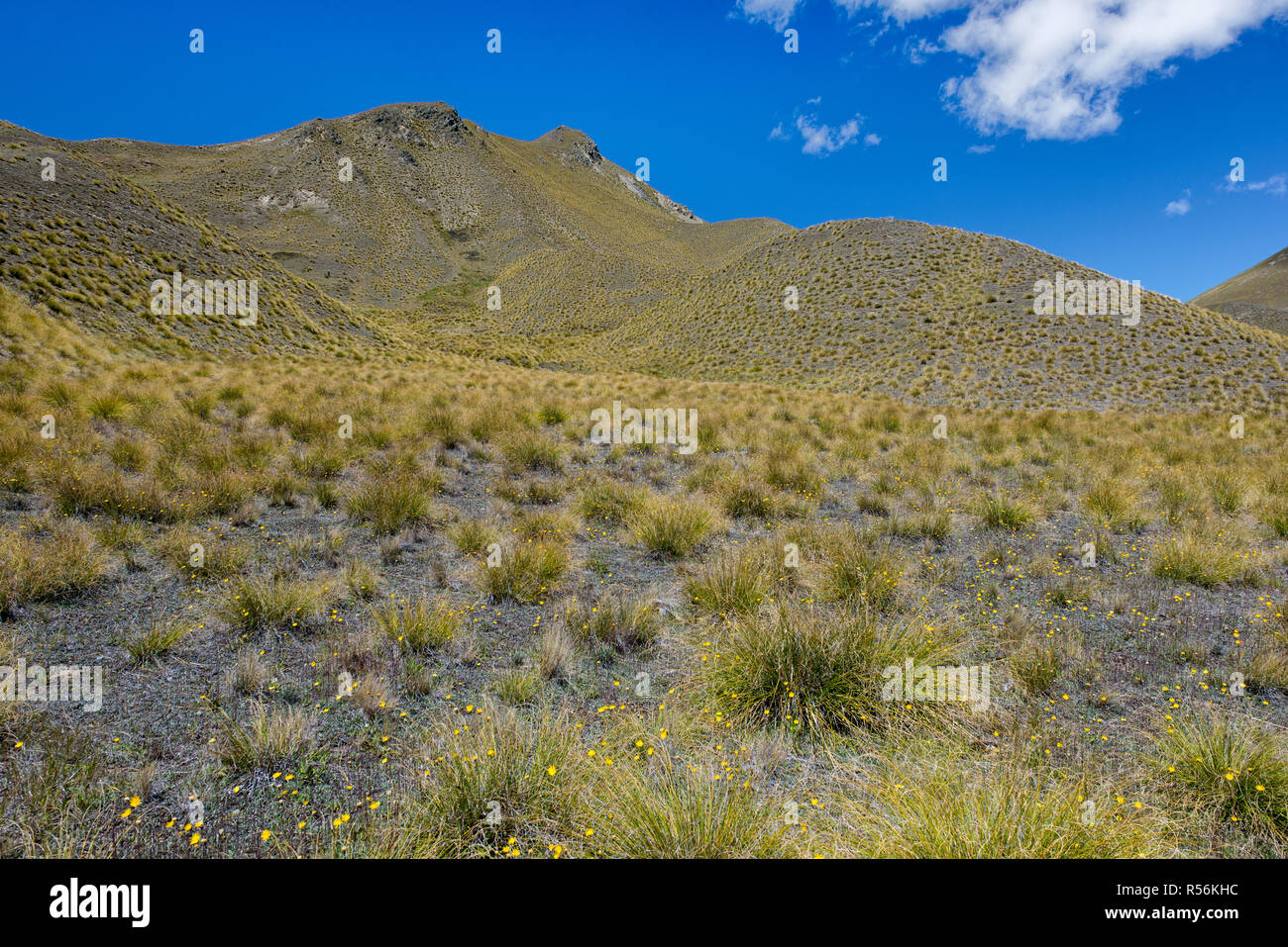 Rain Shadow Examples