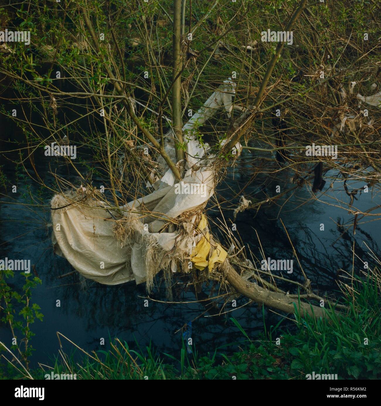 Fabric wrapped around tree in flooded rural environment. Source: FG220 ...