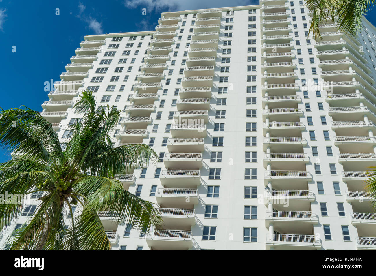 High-Rise condominium in Miami, Florida with palm trees in foreground ...