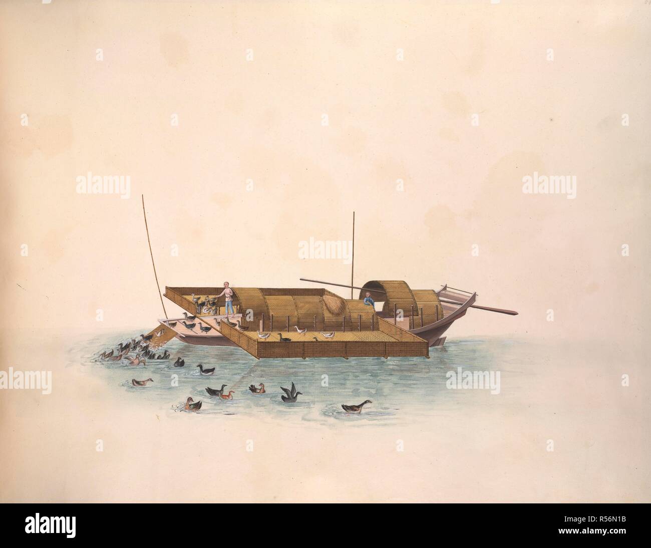 Duck-breeding boat. 1800 - 1805. Ap-Sheun. A boat used for breeding and ...