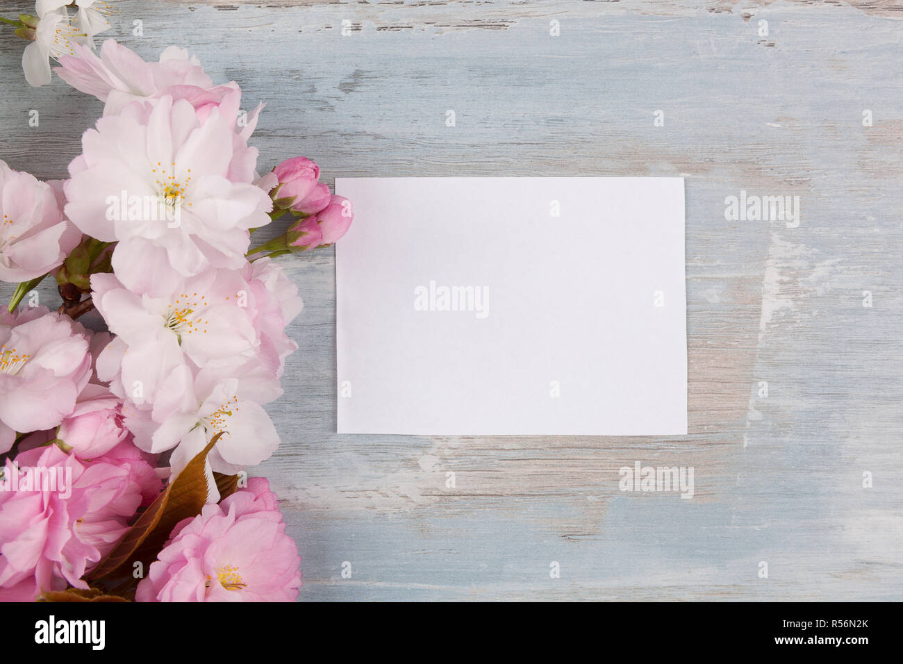 Romantic spring background Stock Photo - Alamy