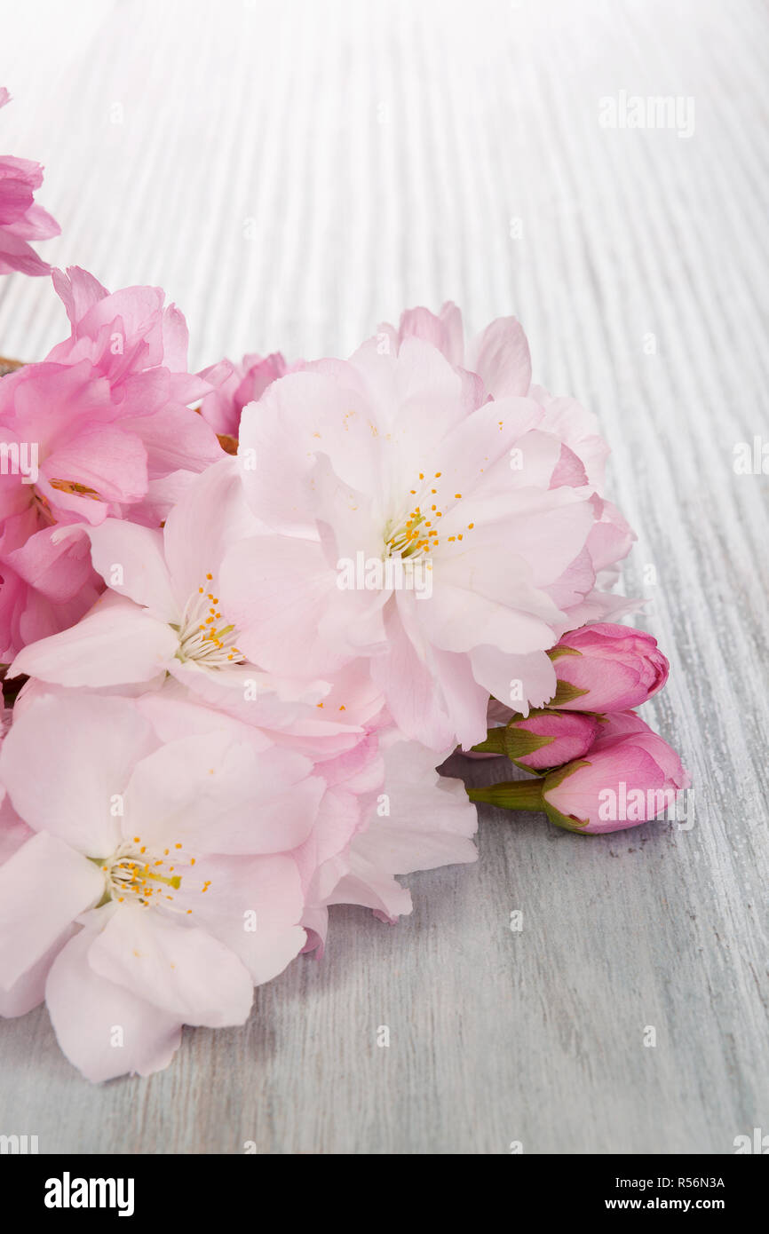 Romantic spring background Stock Photo - Alamy
