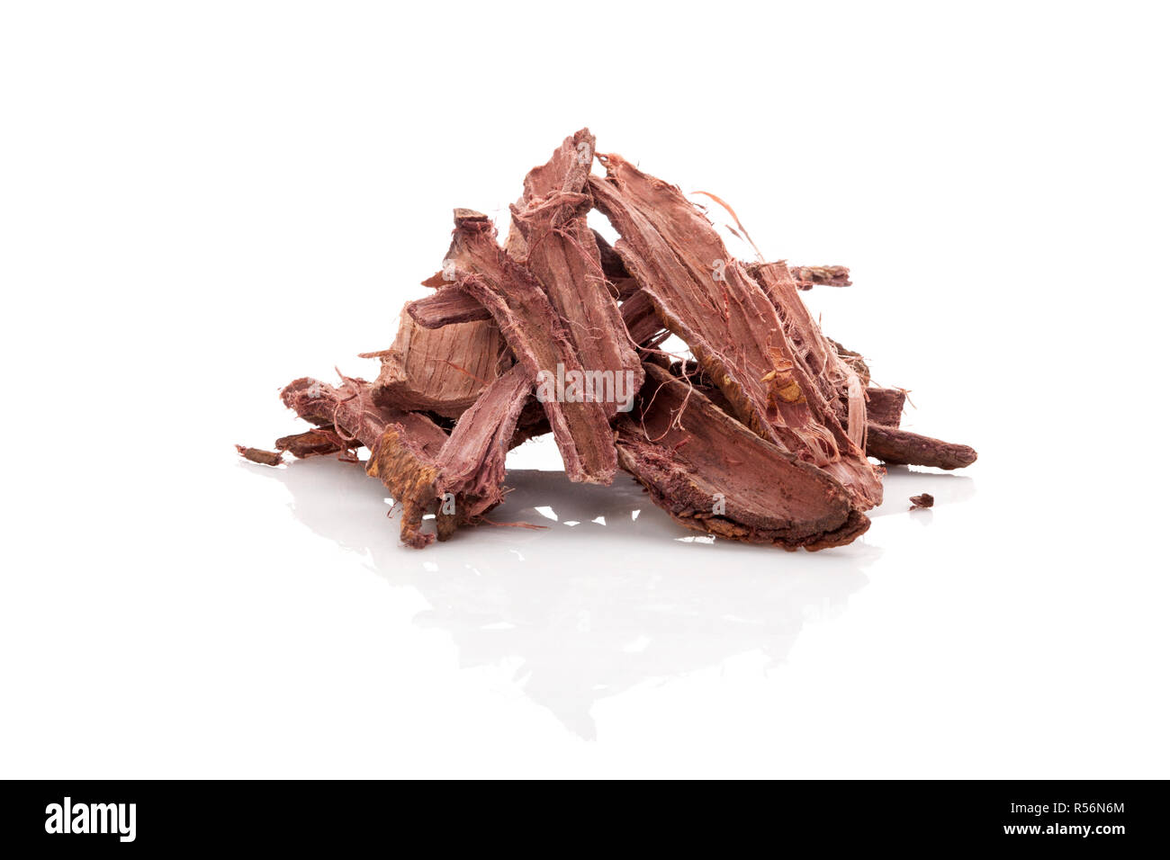 Mimosa hostilis root hi-res stock photography and images - Alamy