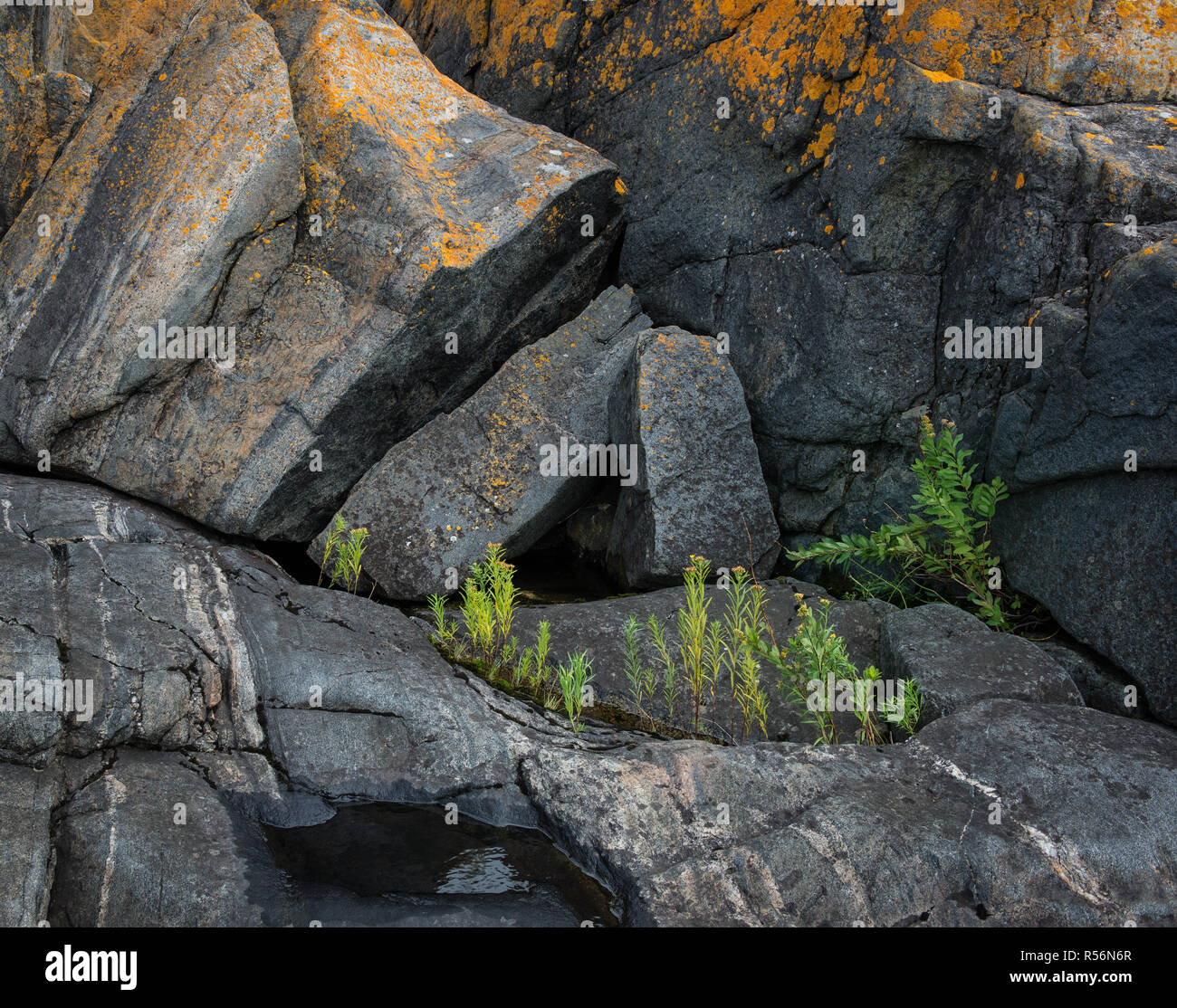 Banded gneiss hi-res stock photography and images - Alamy