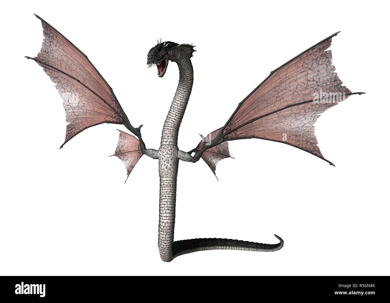 3D Rendering Fantasy Snake Dragon on White Stock Photo - Alamy
