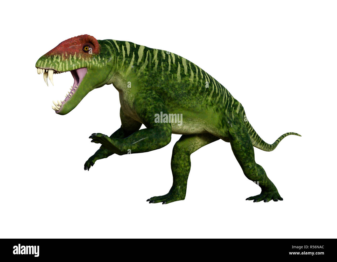 3D Rendering Dinosaur Doliosauriscus on White Stock Photo - Alamy