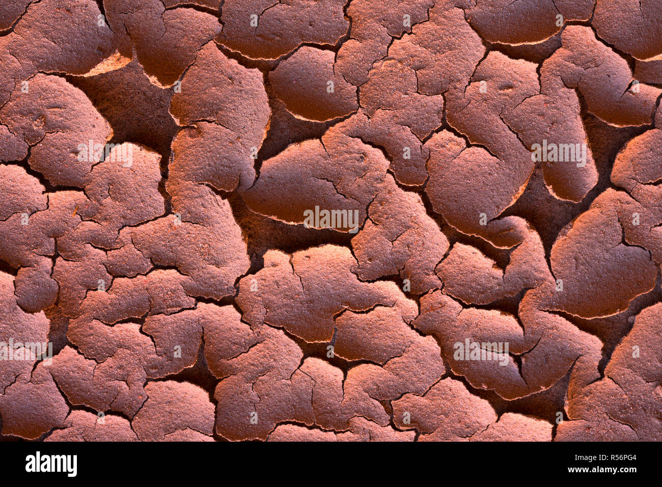 Soft light reflects on cracked mud in the Paria canyon system in Utah ...