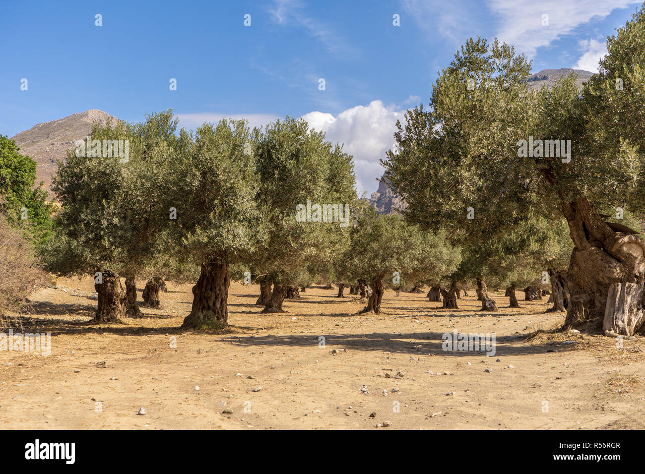 Landscape on the island of Crete, Greece with a wide view over some ...