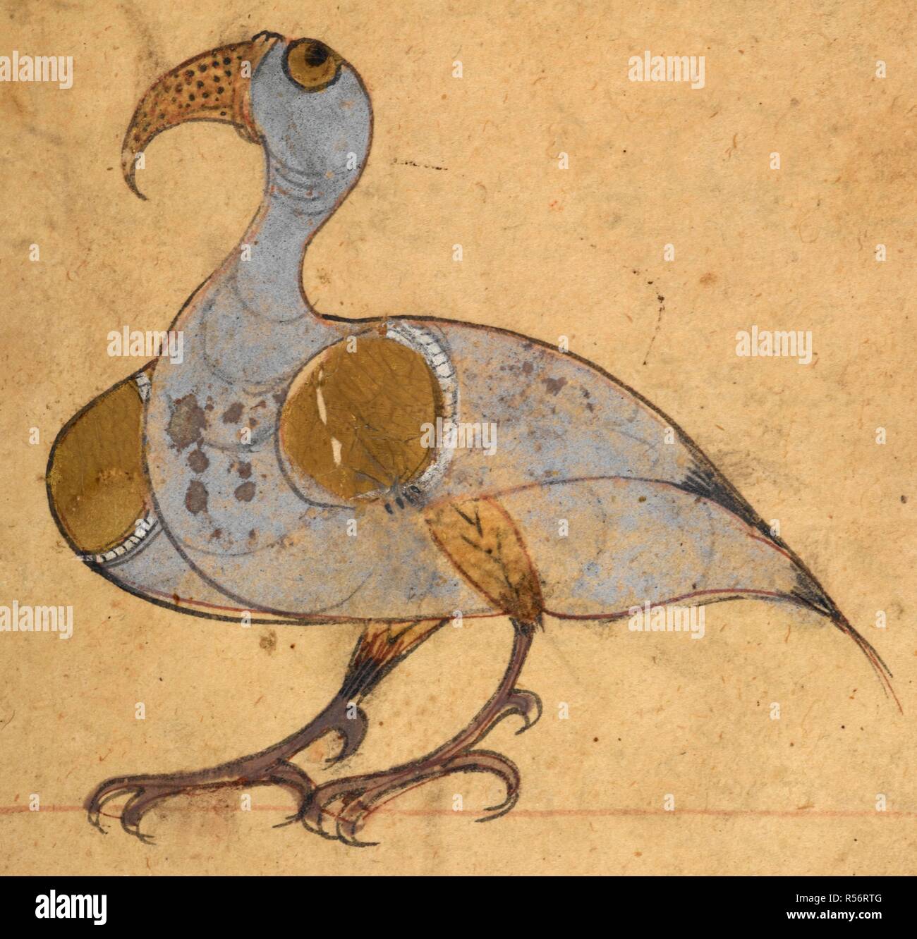 Kitab al hayawan hi-res stock photography and images - Alamy