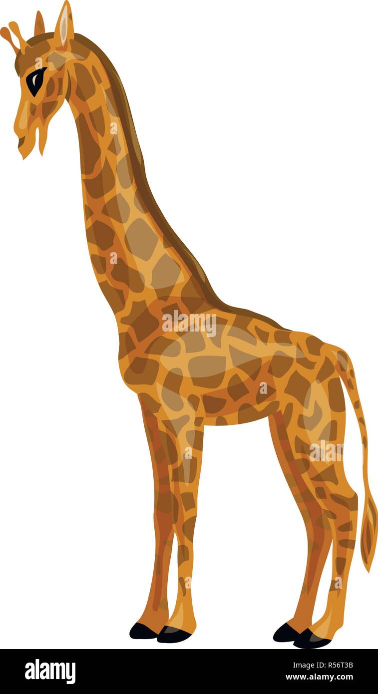 Giraffe icon. Cartoon of giraffe vector icon for web design isolated on ...