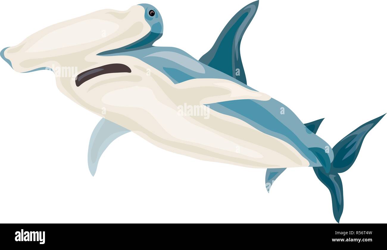 Hammerhead shark icon. Cartoon of hammerhead shark vector icon for web ...