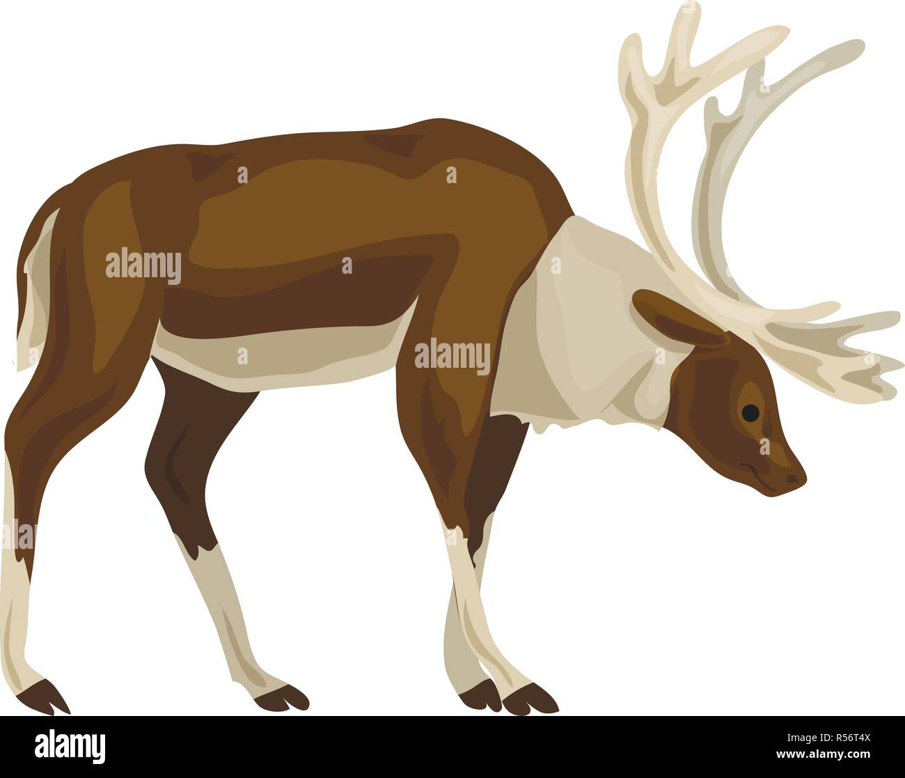Male deer icon. Cartoon of male deer vector icon for web design ...