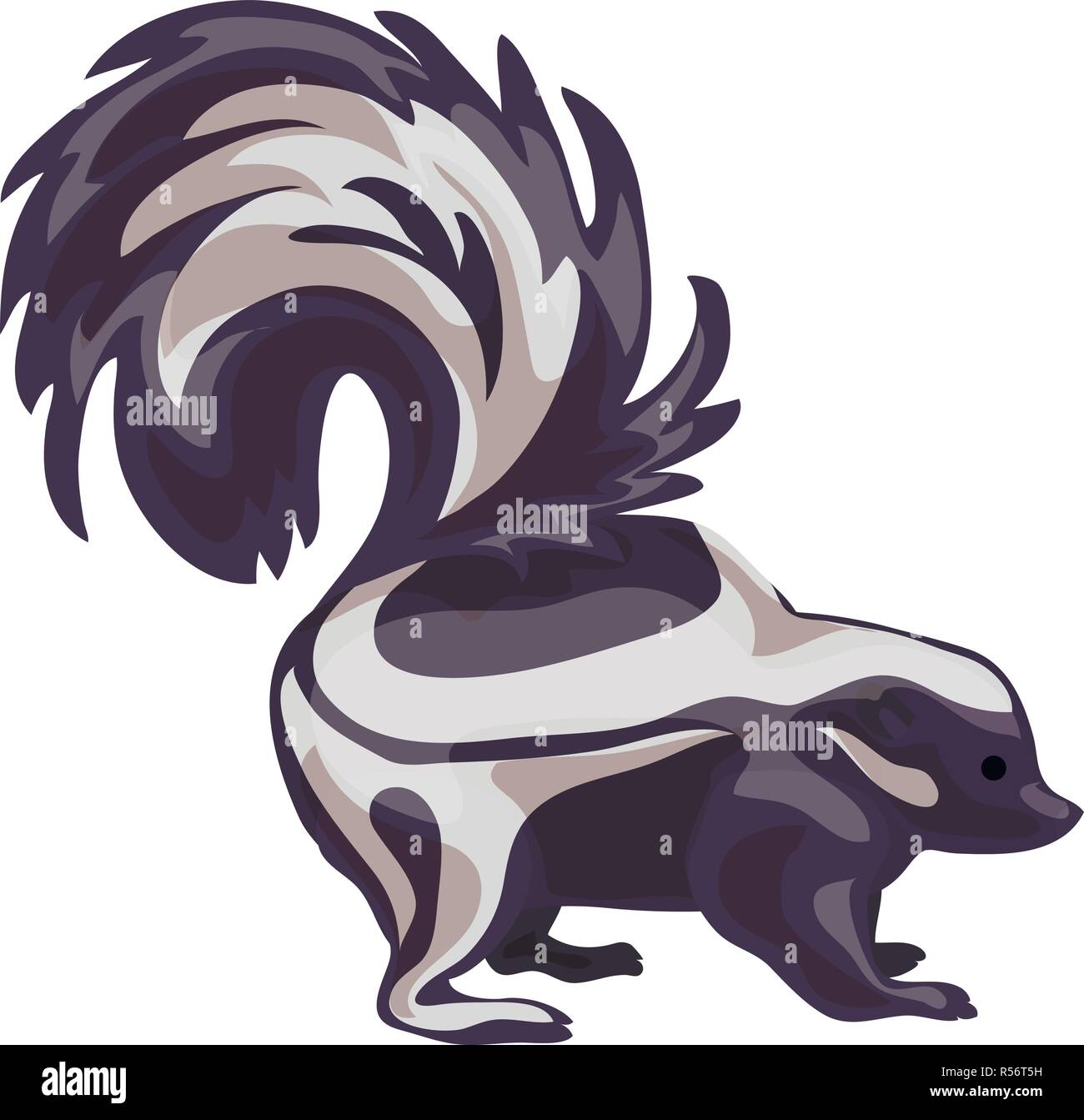 Skunk icon. Cartoon of skunk vector icon for web design isolated on ...
