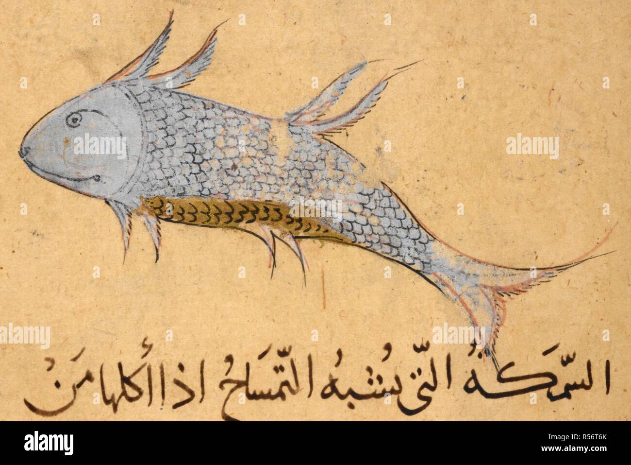 Kitab al hayawan hi-res stock photography and images - Alamy