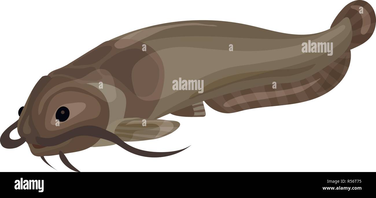 Catfish icon. Cartoon of catfish vector icon for web design isolated on ...