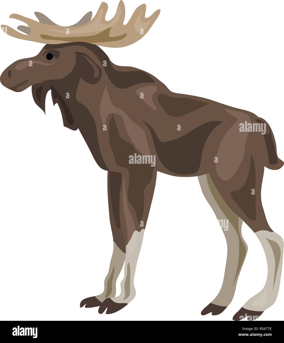 Canadian deer icon. Cartoon of canadian deer vector icon for web design ...
