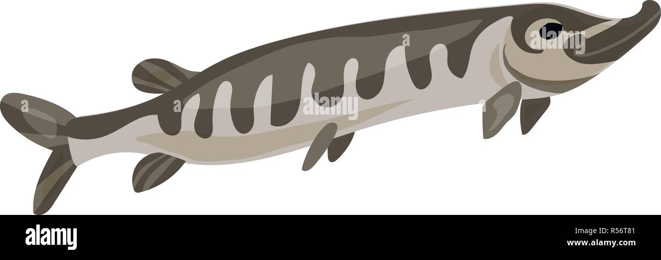 Pike fish icon. Cartoon of pike fish vector icon for web design ...