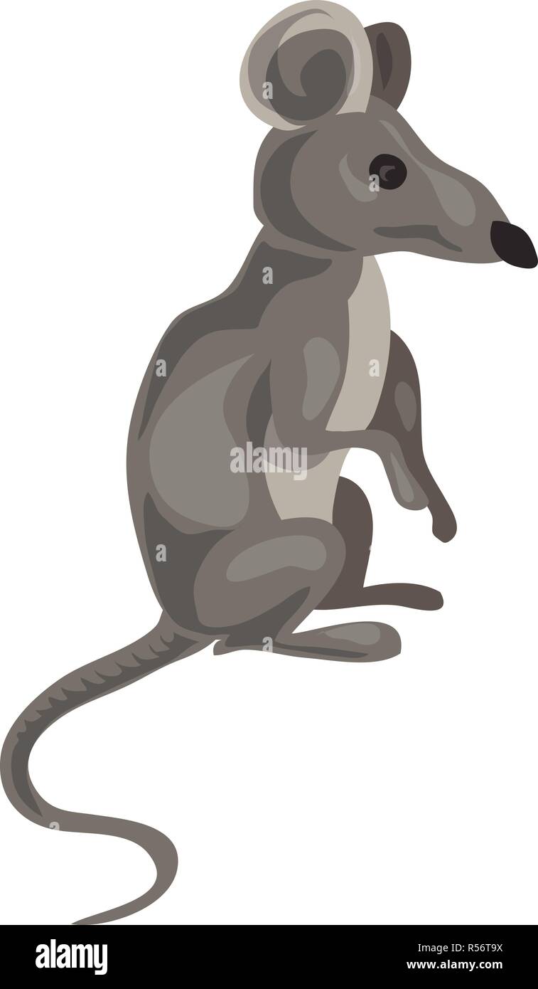 Grey mouse icon. Cartoon of grey mouse vector icon for web design ...