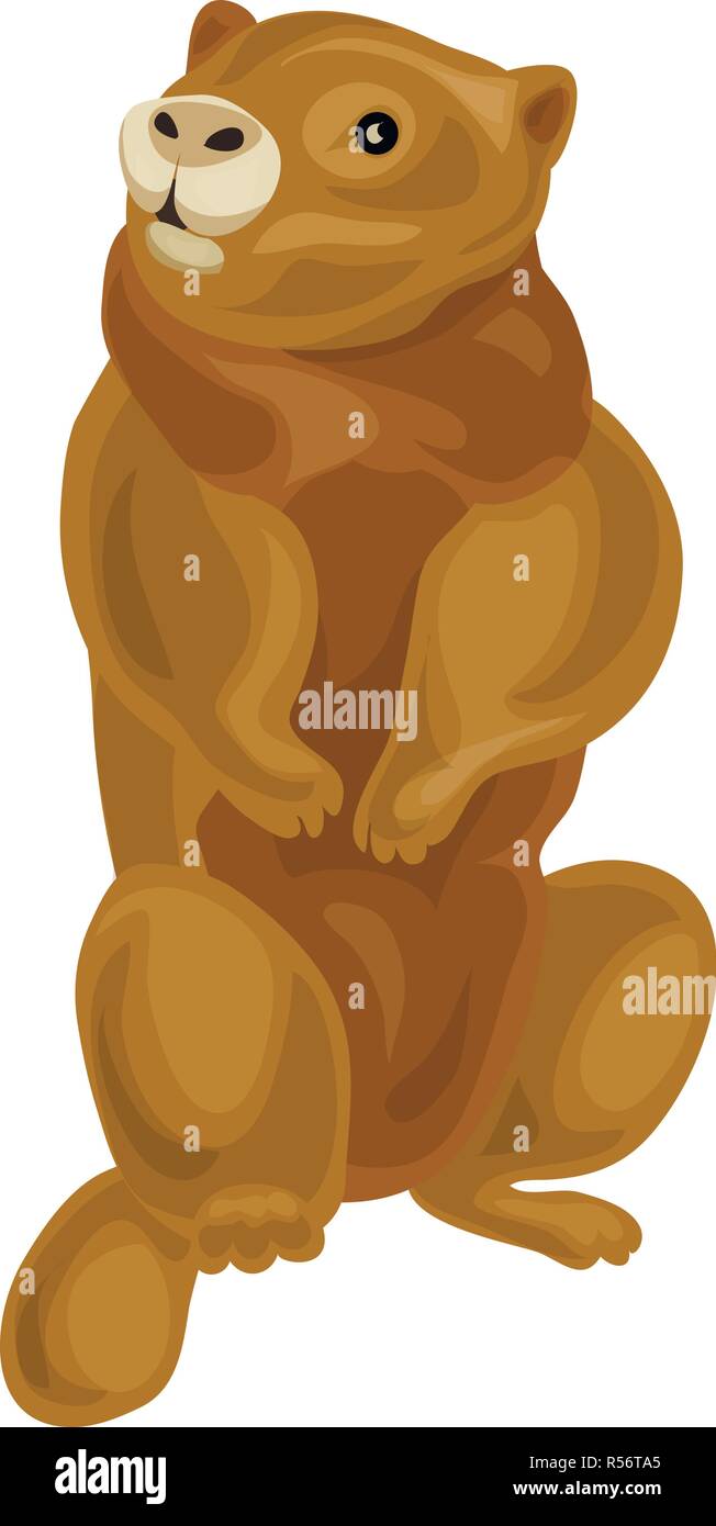 Beaver icon. Cartoon of beaver vector icon for web design isolated on ...