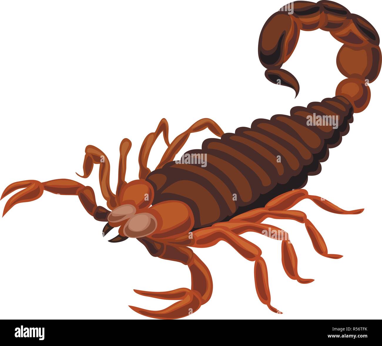 Scorpion Cartoon