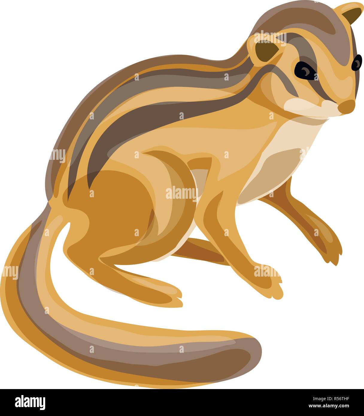 Chipmunk icon. Cartoon of chipmunk vector icon for web design isolated ...
