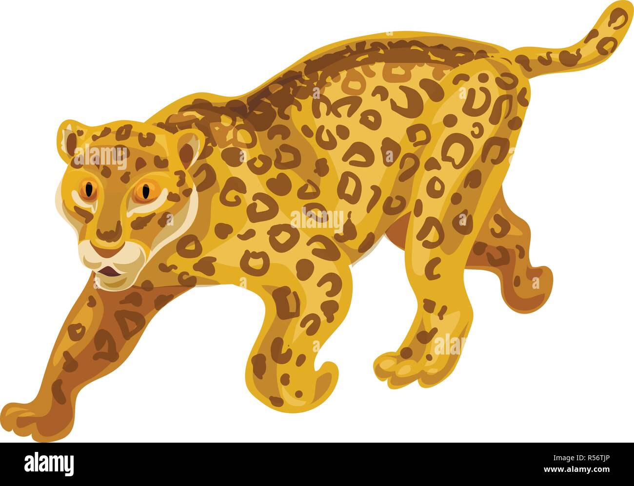 Cheetah icon. Cartoon of cheetah vector icon for web design isolated on ...