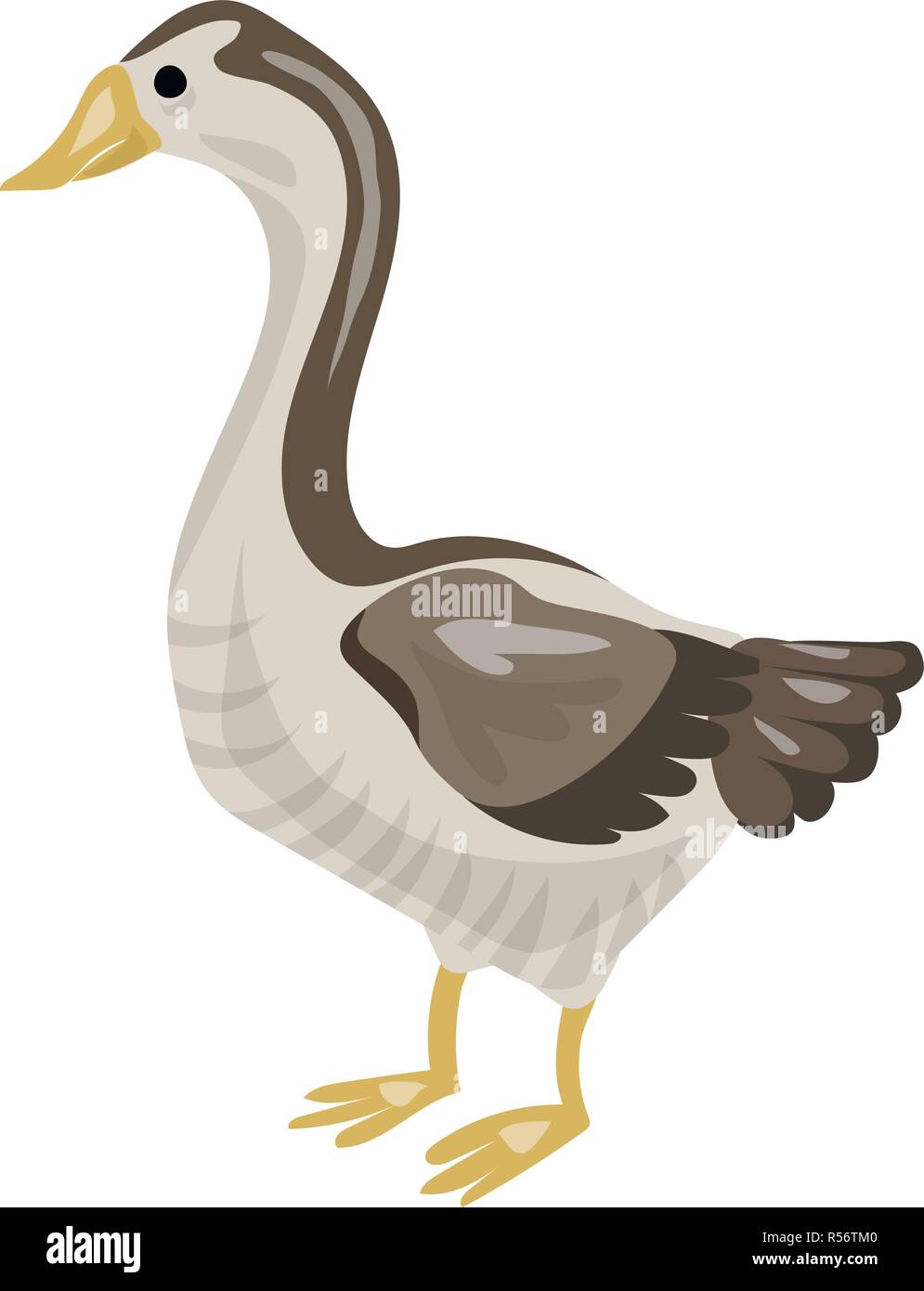 Cartoon Goose High Resolution Stock Photography and Images - Alamy
