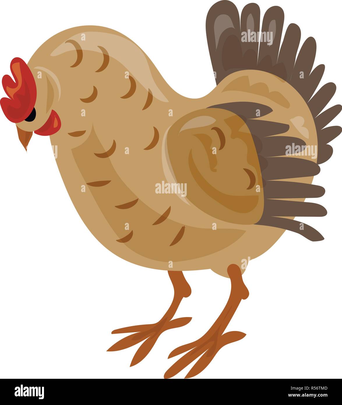 Chicken icon. Cartoon of chicken vector icon for web design isolated on ...