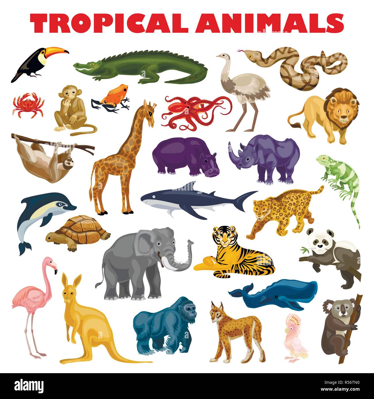 Tropical animal concept background. Cartoon illustration of tropical ...