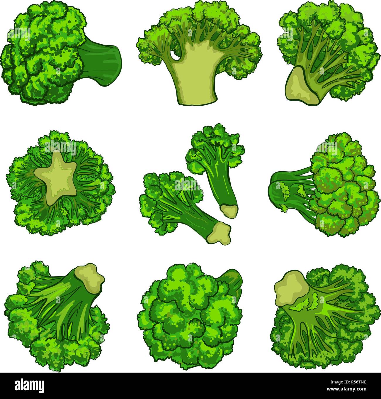 Broccoli icon set. Cartoon set of broccoli vector icons for web design ...