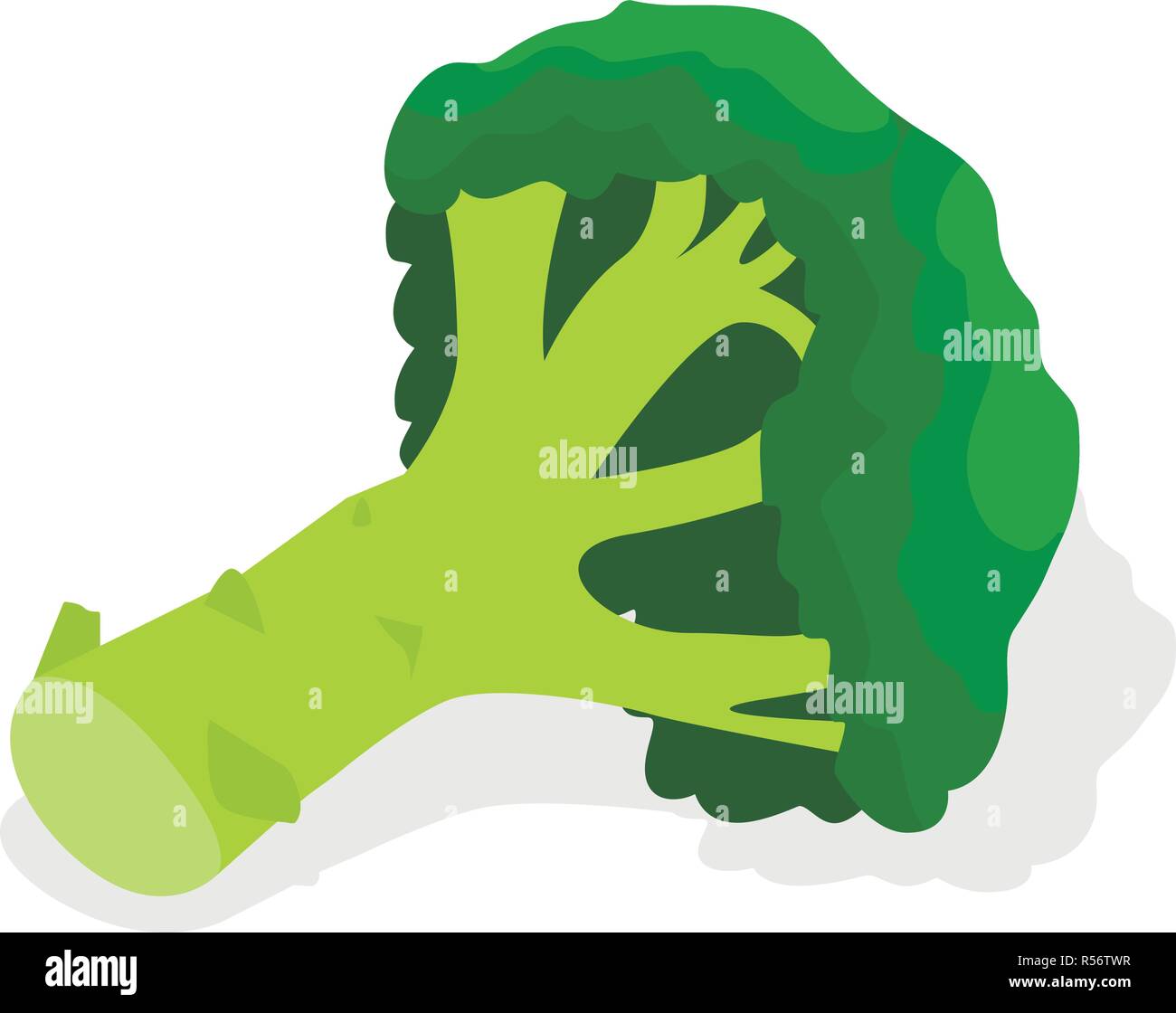 Green broccoli icon set. Isometric set of green broccoli vector icons ...