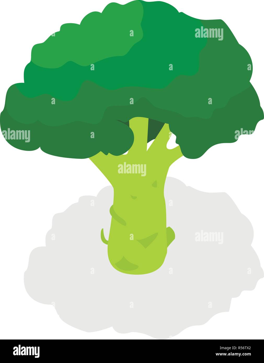 Broccoli icon set. Isometric set of broccoli vector icons for web ...
