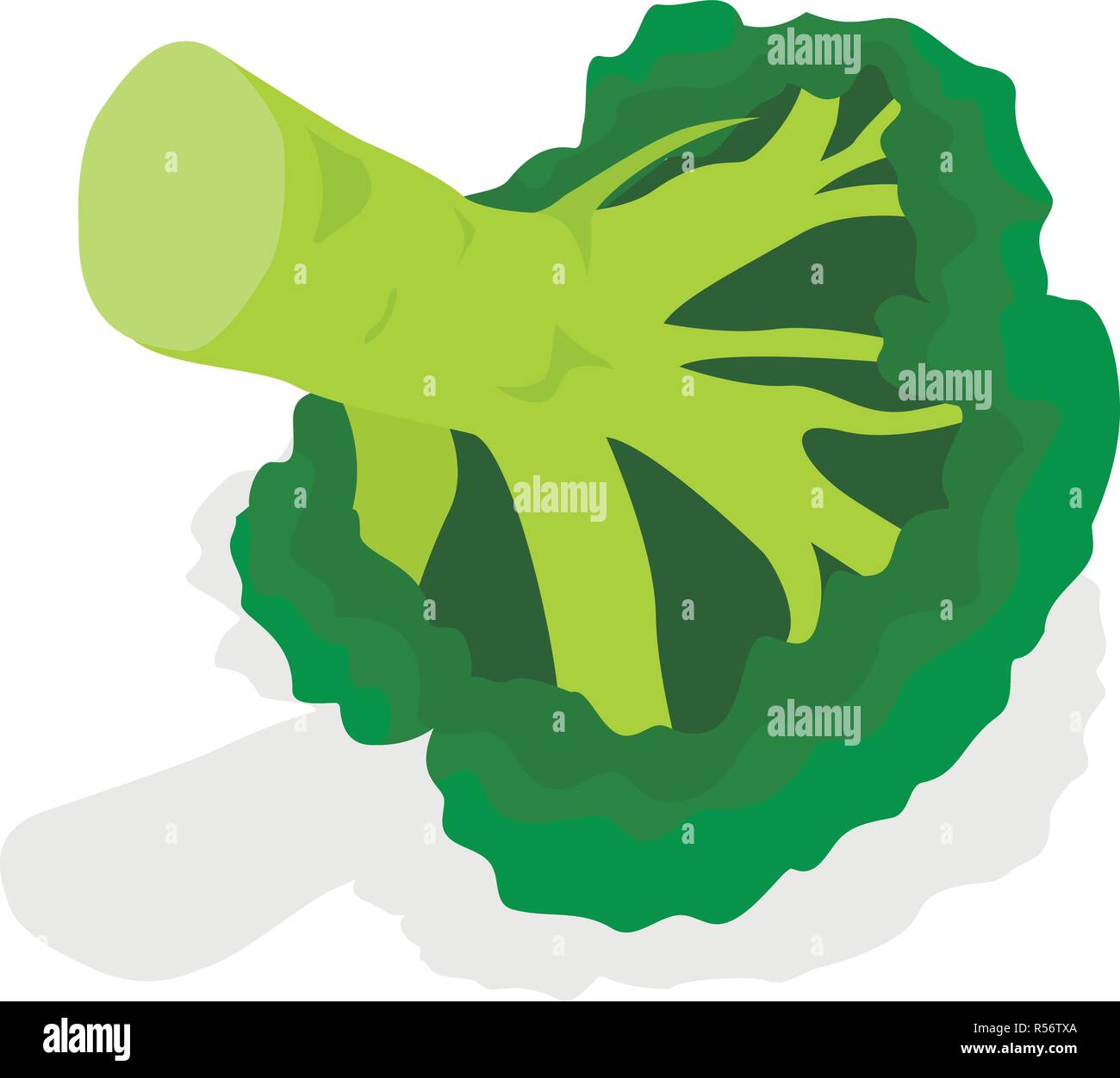 Eco broccoli icon set. Isometric set of eco broccoli vector icons for ...
