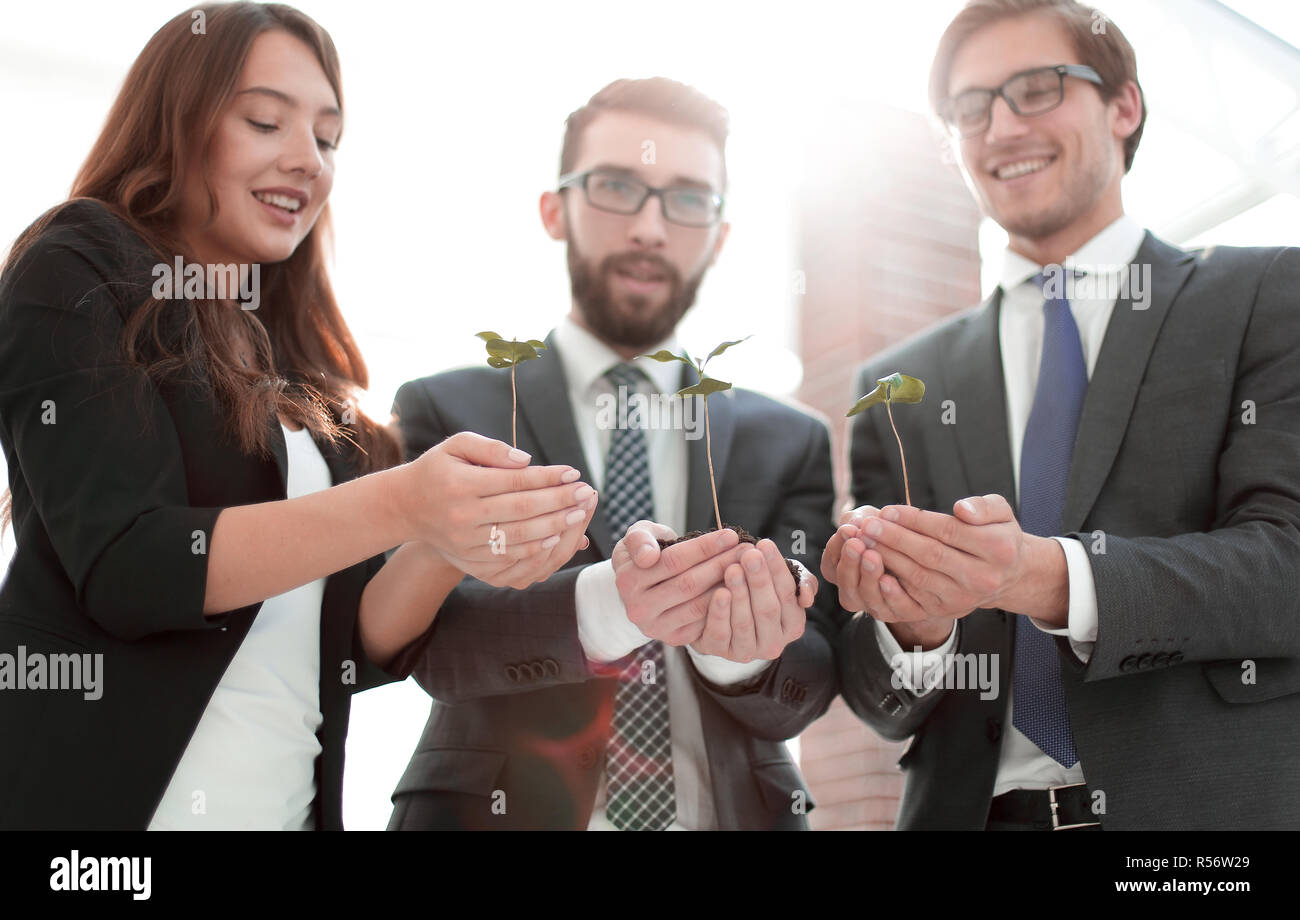 business team looks at the fresh sprouts Stock Photo - Alamy