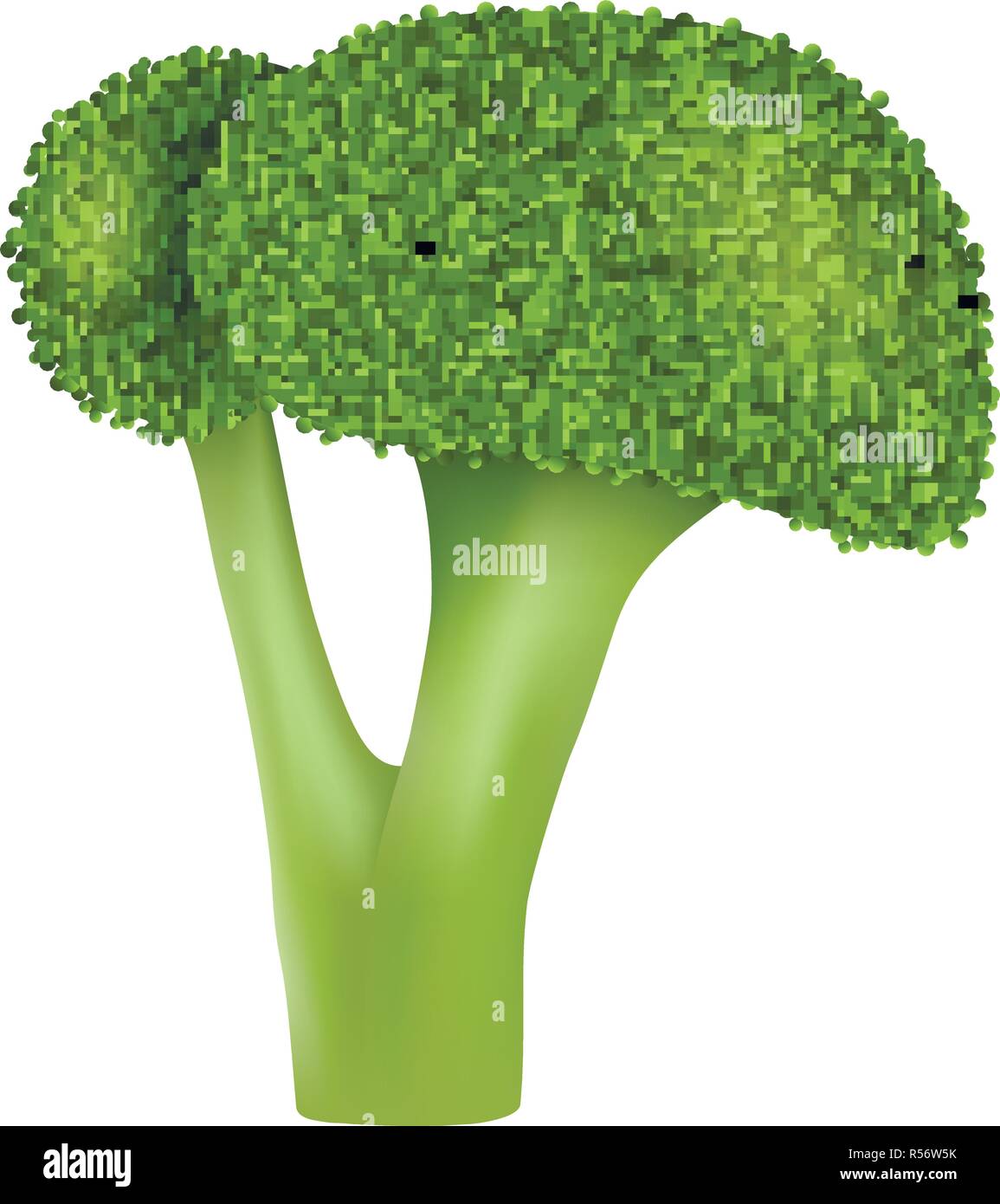Garden broccoli icon. Realistic illustration of garden broccoli vector ...