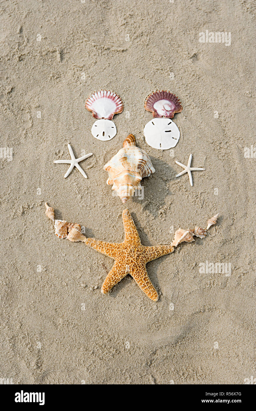 Starfish and shells Stock Photo - Alamy