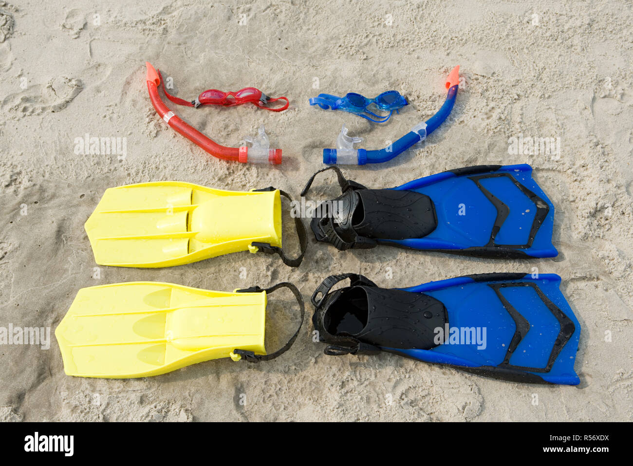 Long flippers hi-res stock photography and images - Alamy