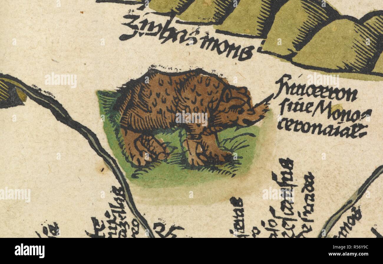 Ancient depiction of a rhinocerous. Claudii Ptolemaei ... opus ...