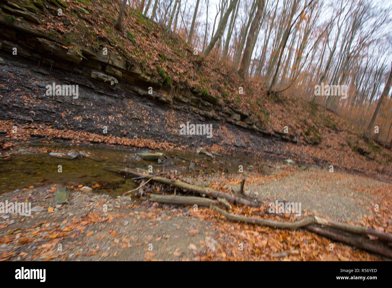 Spring Creek in Autumn, Cuyahoga Valley National Park, Ohio Stock Photo ...
