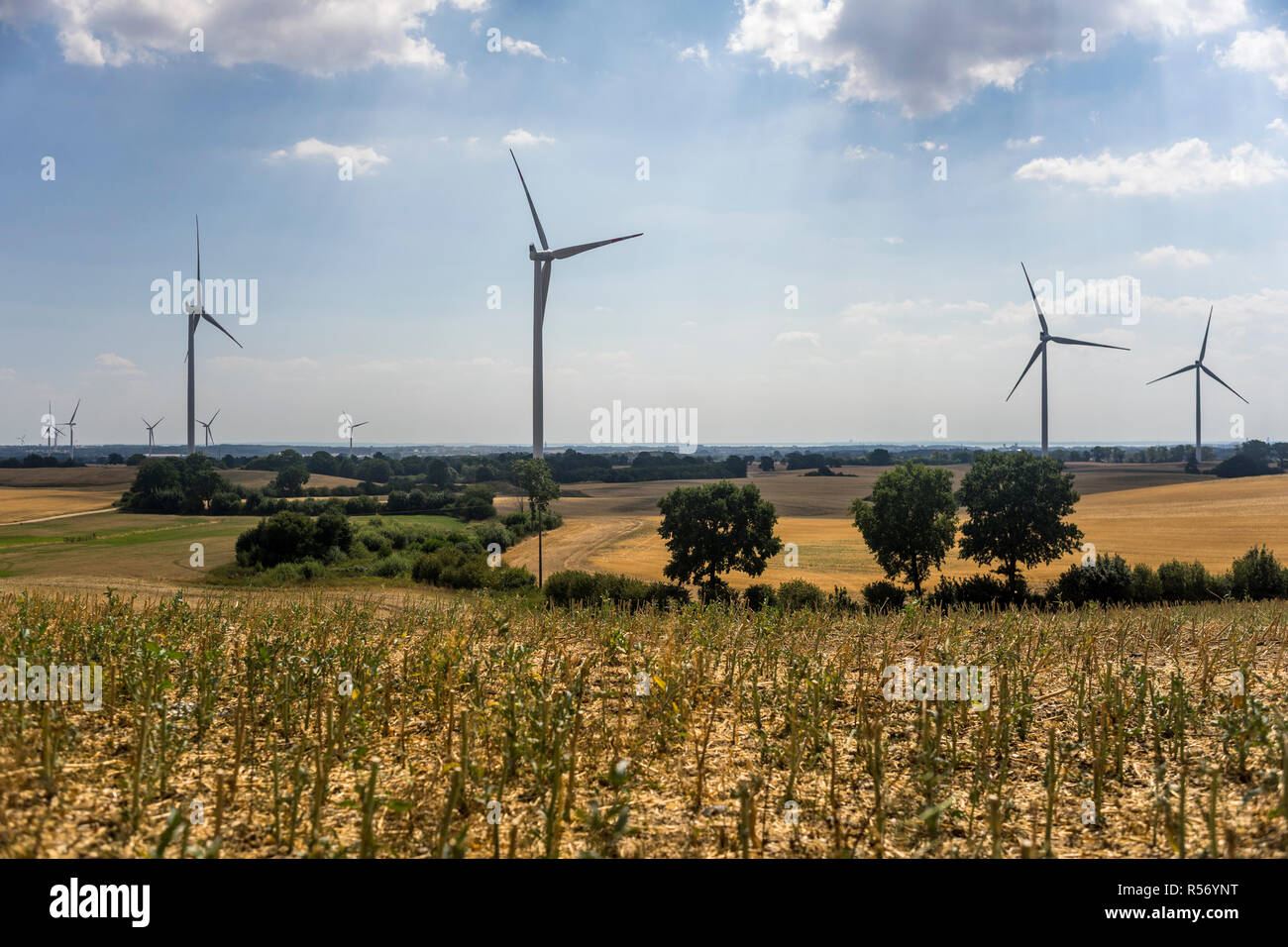 Wind turbines power poles hi-res stock photography and images - Alamy