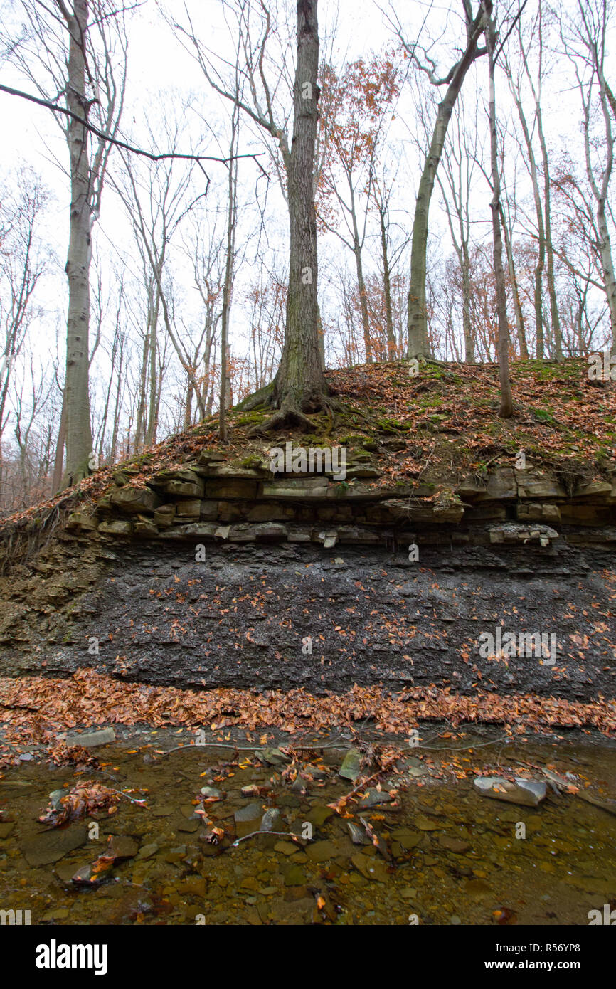 Spring Creek in Autumn, Cuyahoga Valley National Park, Ohio Stock Photo ...