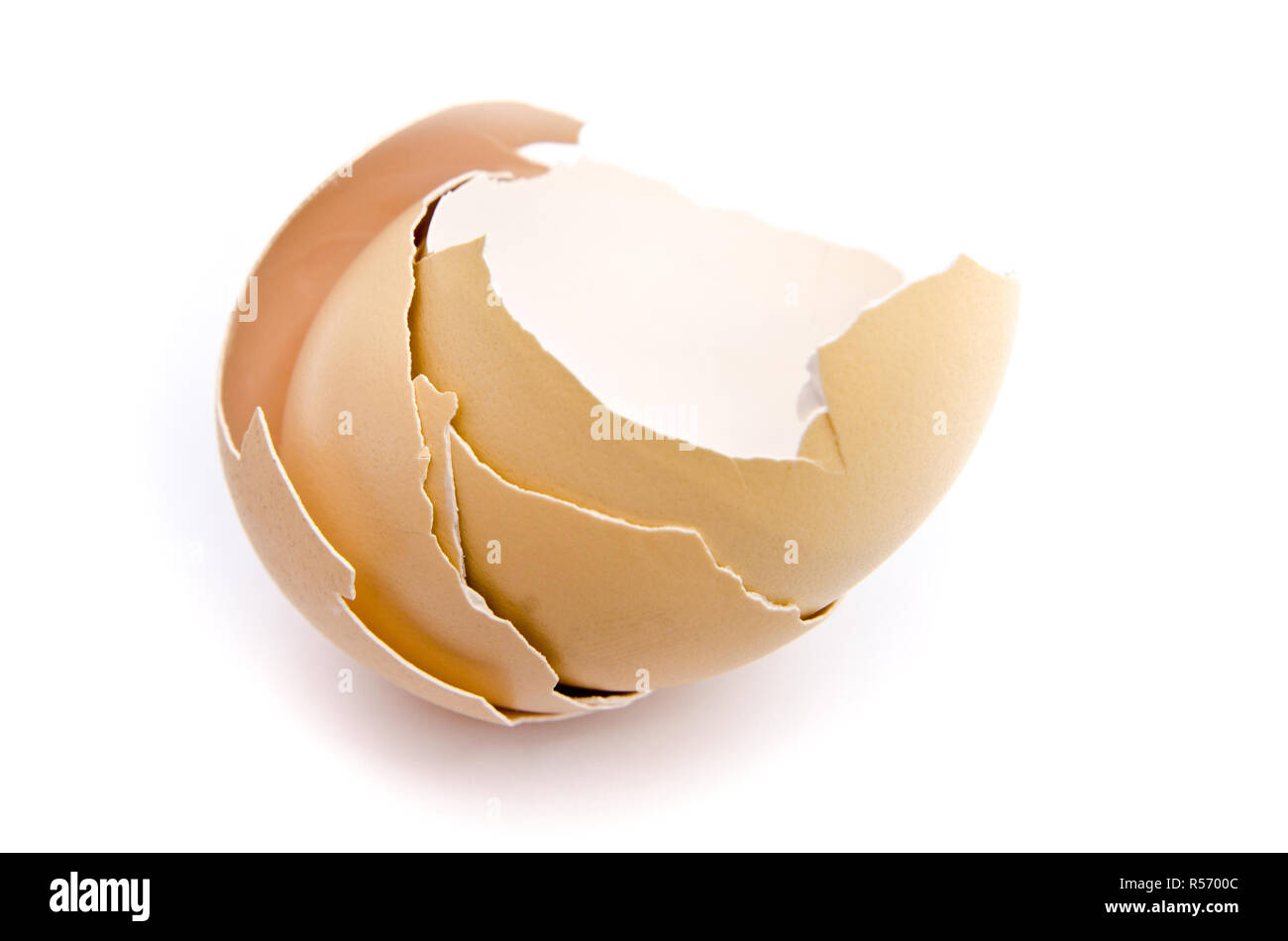 egg shell isolated on a white background Stock Photo - Alamy