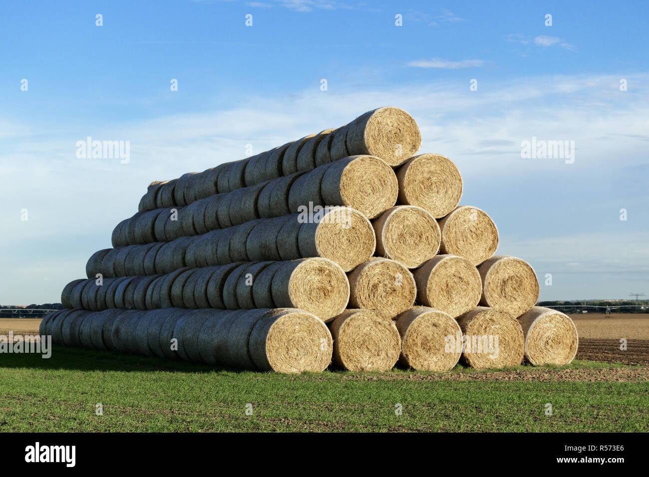 Bad feed fodder hi-res stock photography and images - Alamy